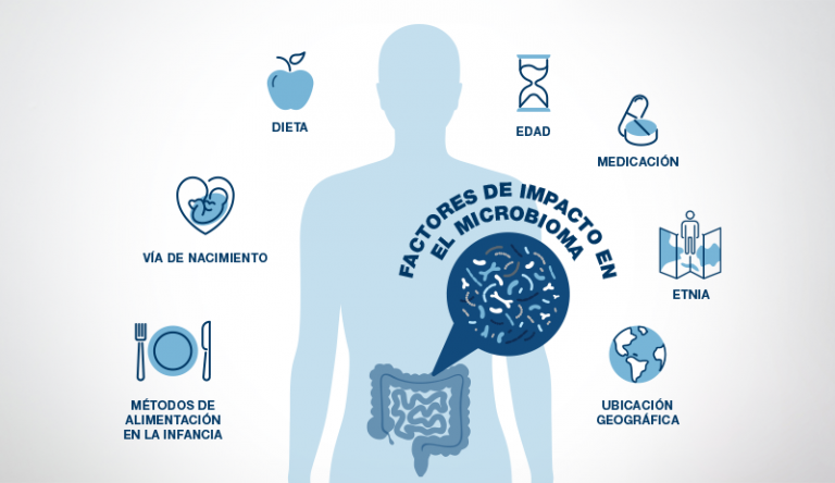 Microbioma intestinal: conozca su importancia para el mantenimiento de ...